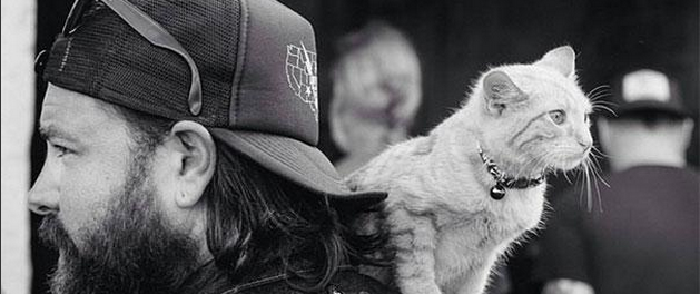 El motociclista más rudo, rescatando a un gatito lastimado