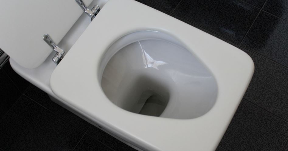 Museo ofrece escusado de oro de 18 quilates para que los visitantes lo ...