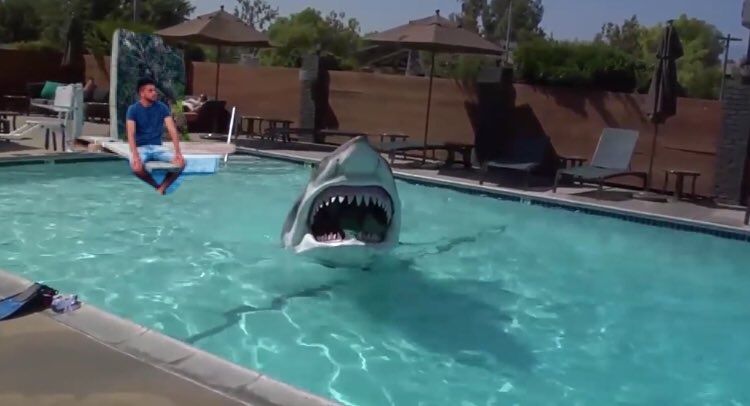 Sujeto publica foto en una piscina vacía, pide ayuda en redes para que ...