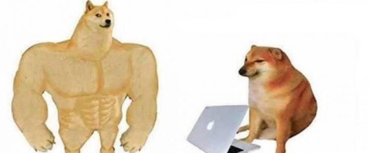¿Cuál es el origen del famoso meme del perro fuerte y el perro débil ...