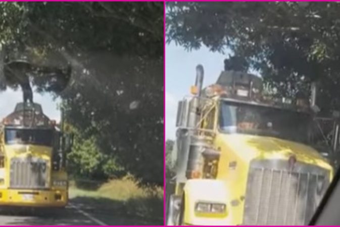 "La colambiananada": sujeto parquea una tractomula en medio de la vía ...