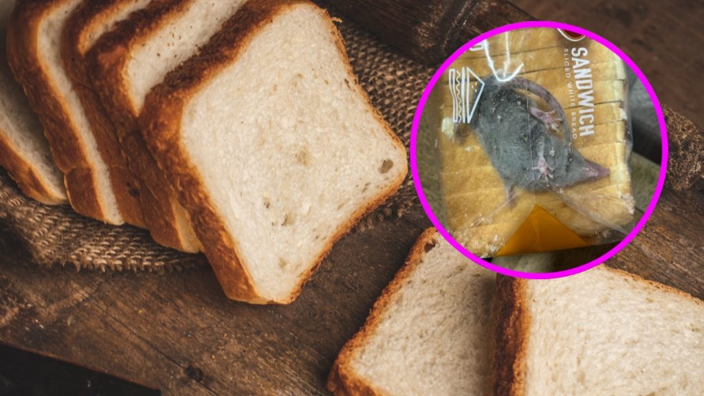 Compró un pan tajado y le llegó con rata incluida