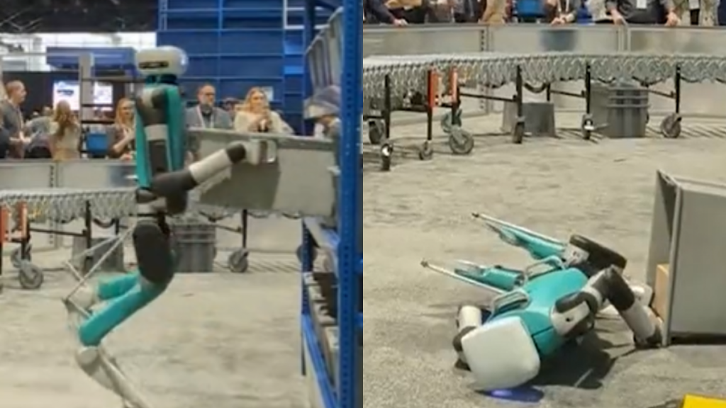 Robot se desplomó cuando estaba ejecutando su trabajo