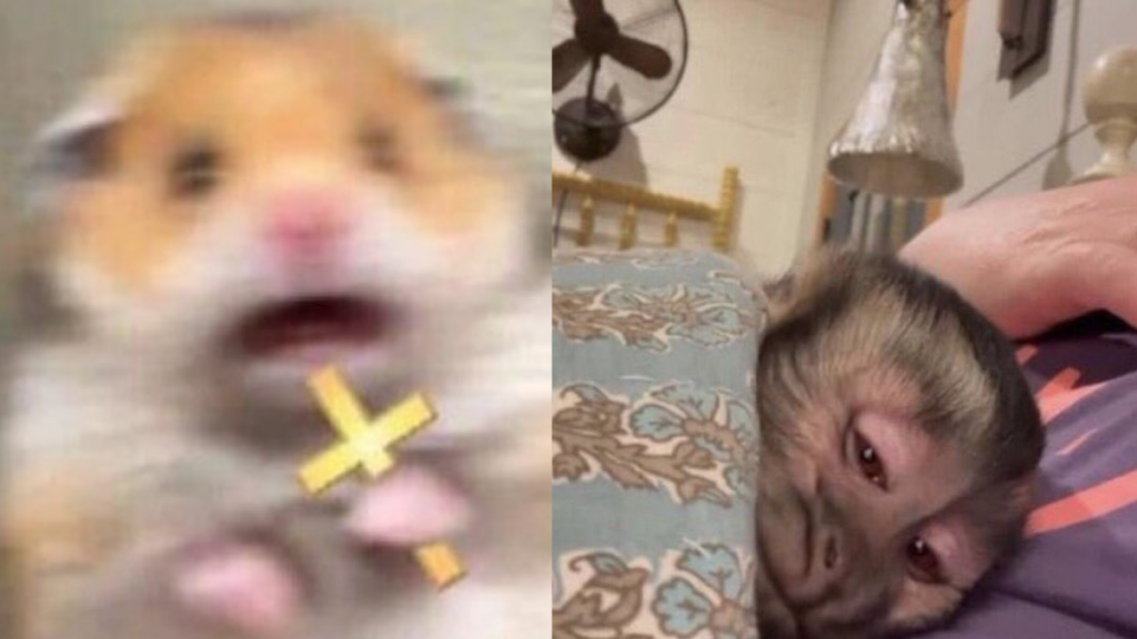 Temblor hoy en Bogotá: reacciones y memes del sismo