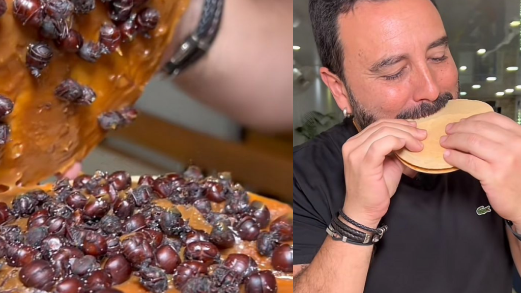 ¿Hormigas culonas con obleas?