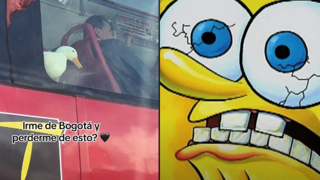Pato viajó en TransMilenio y es todo lo que necesita ver hoy