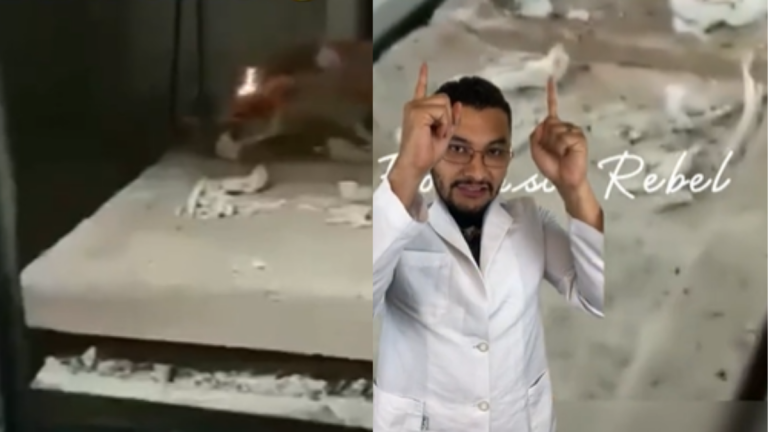 Video: así se ve un cadáver al salir de un horno crematorio
