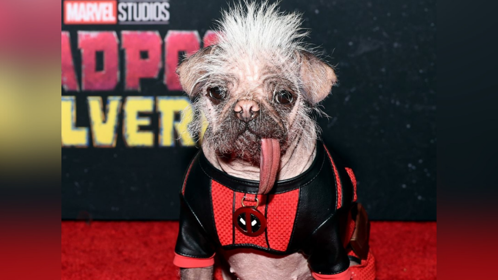 'Deadpool y Wolverine': ¿Qué raza es Dogpool? Esta es su historia