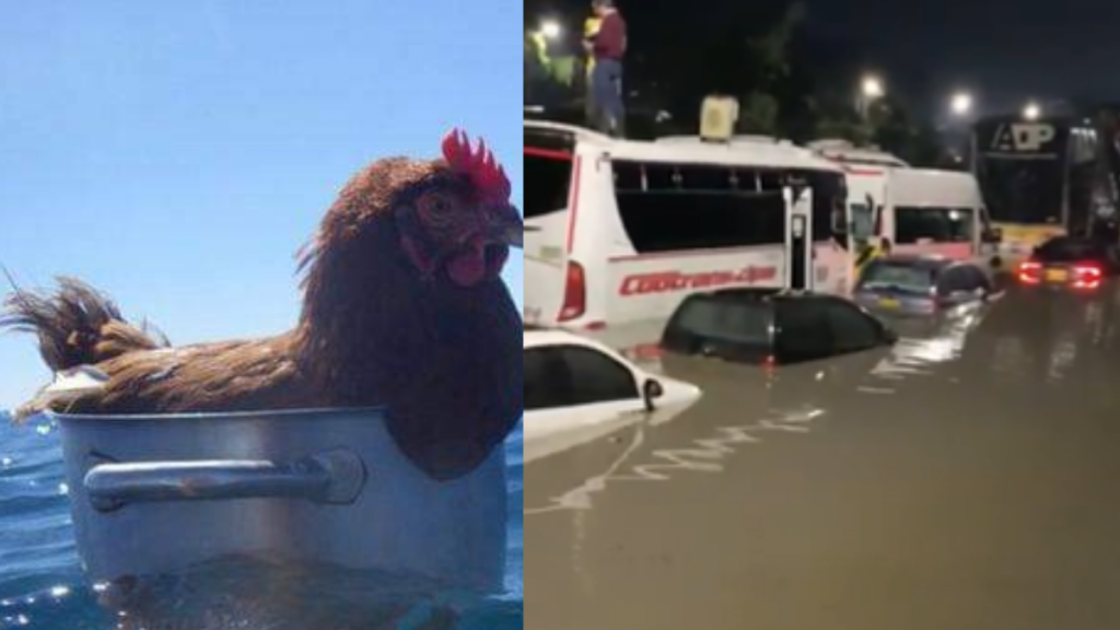 Los mejores memes que dejaron las lluvias en Bogotá