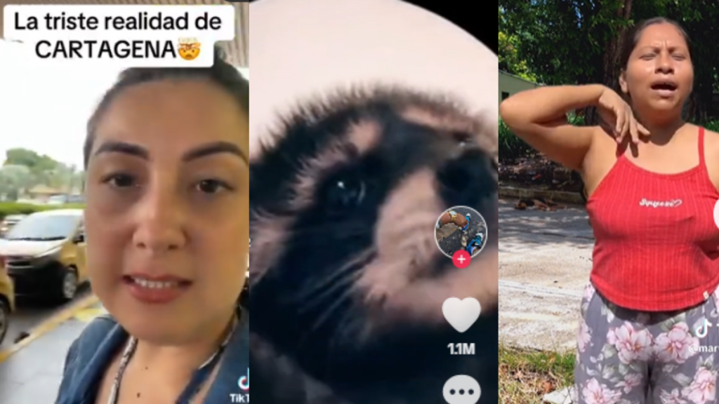 ¿Qué pasó con la mujer que dijo ‘vístima’? Así luce